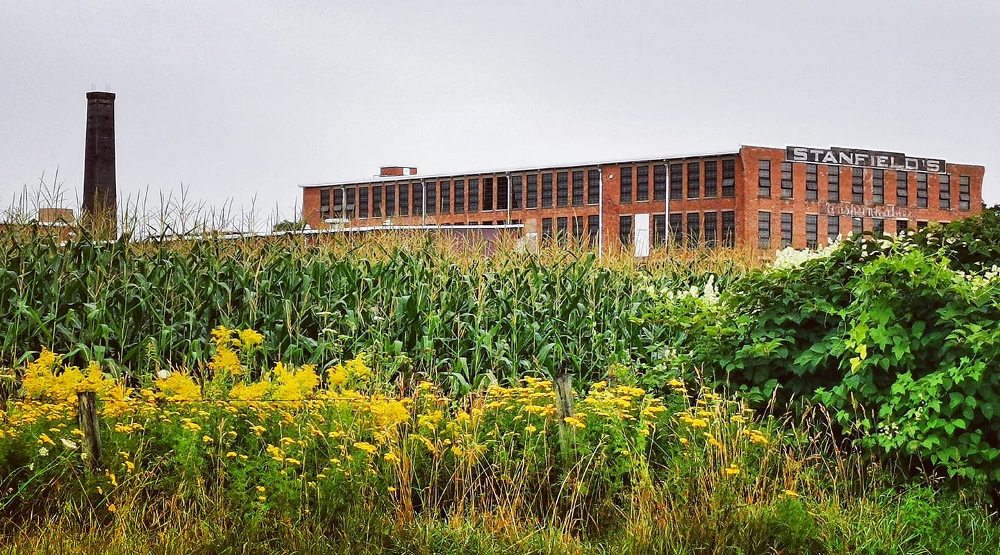 Made In Canada | Stanfields.com