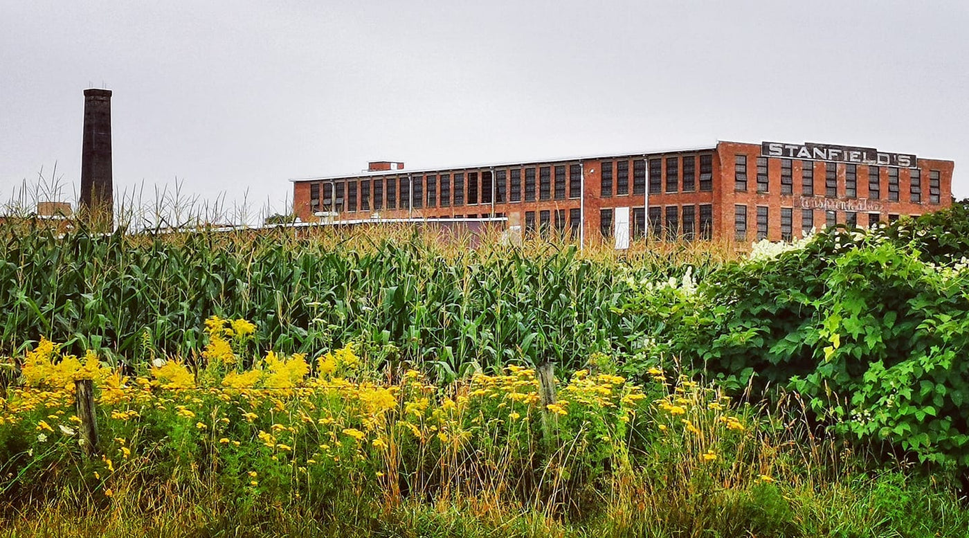 Men | Stanfields.com